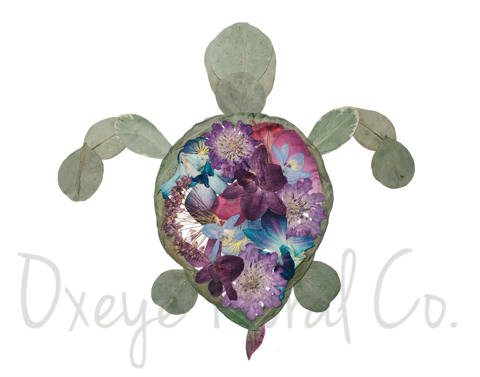 Pressed Flower Turtle Print - Etsy