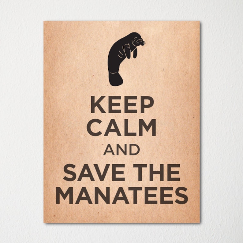 Keep Calm and Save the Manatees - Fine Art Print - Choice of Color ...