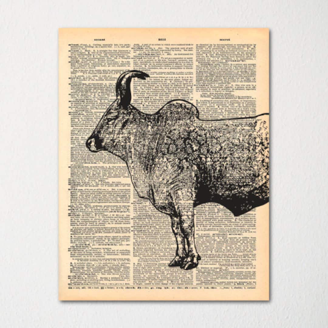 Brahman Bull Dictionary Art Print / Vintage Dictionary Paper - Etsy