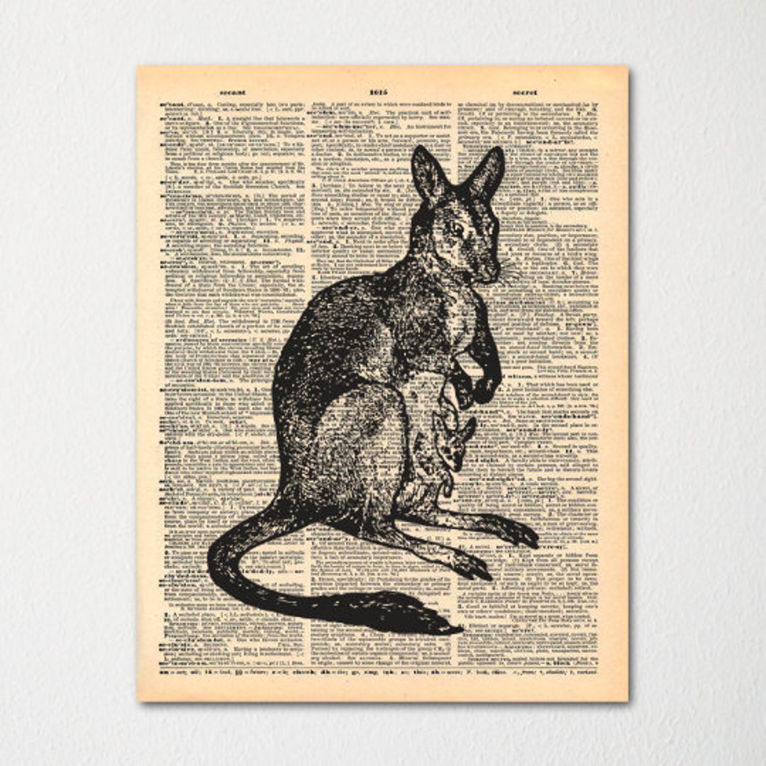 Kangaroo Dictionary Art Print / Vintage Dictionary Paper - Etsy
