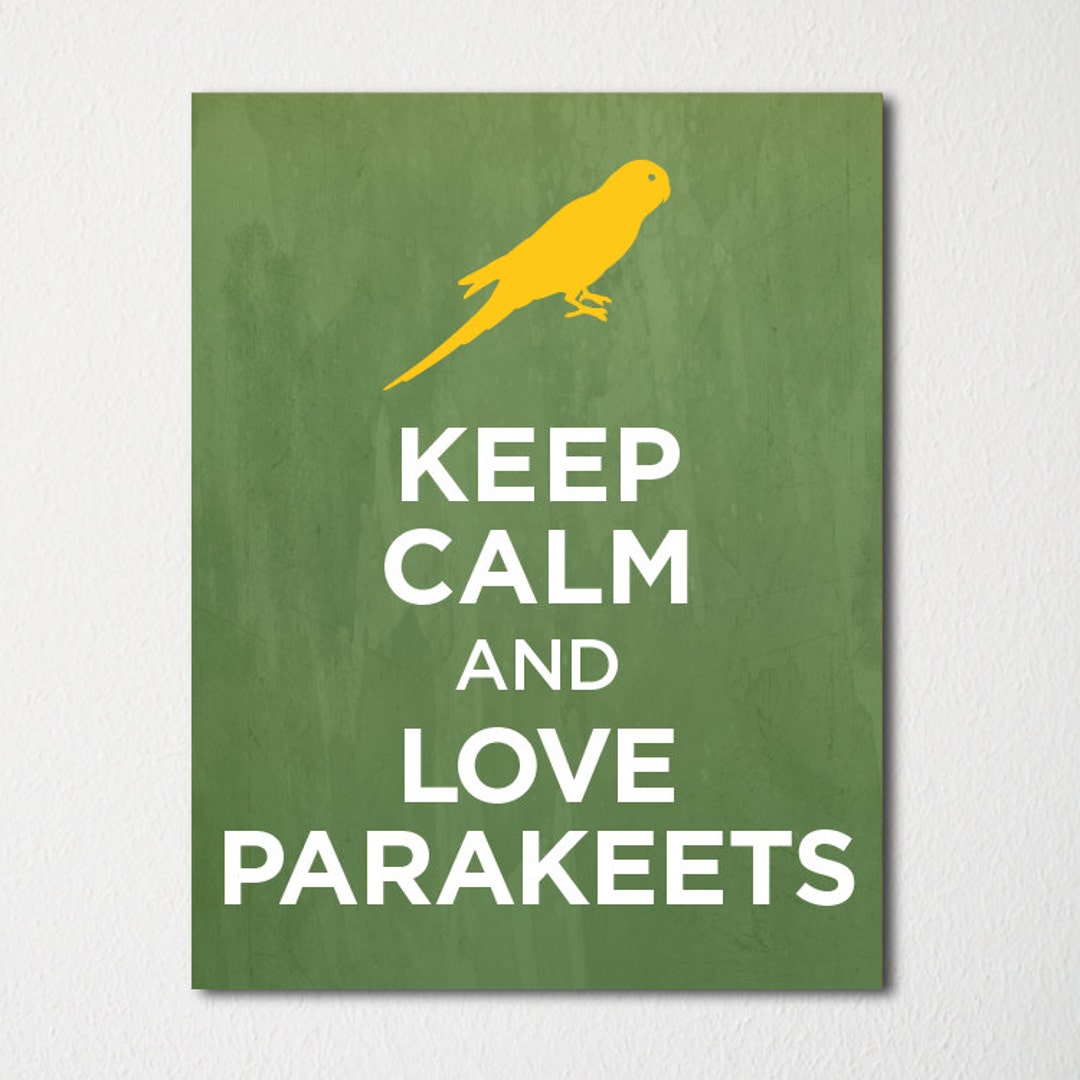 Keep Calm and Love Parakeets Fine Art Print Choice of Color Purchase 3 ...