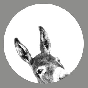 Pendant Shade Modern, Donkey, Pendant Lamp - Etsy