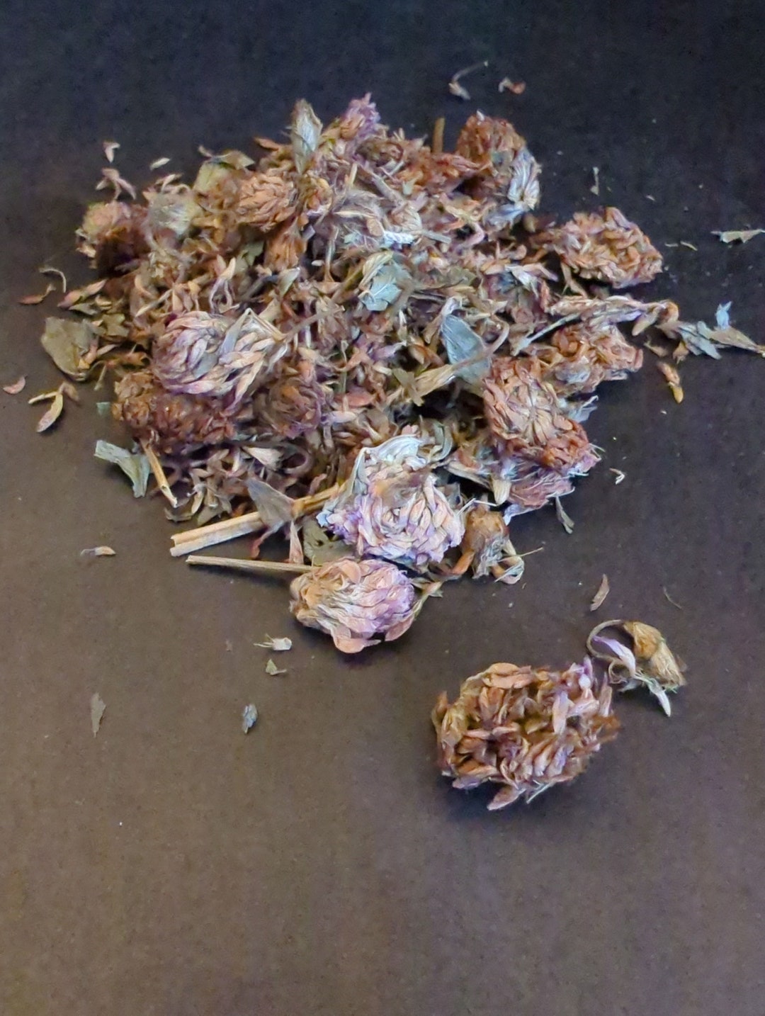 Red Clover Tops (trifolium Pratense), Organic, High Quality 1oz for ...