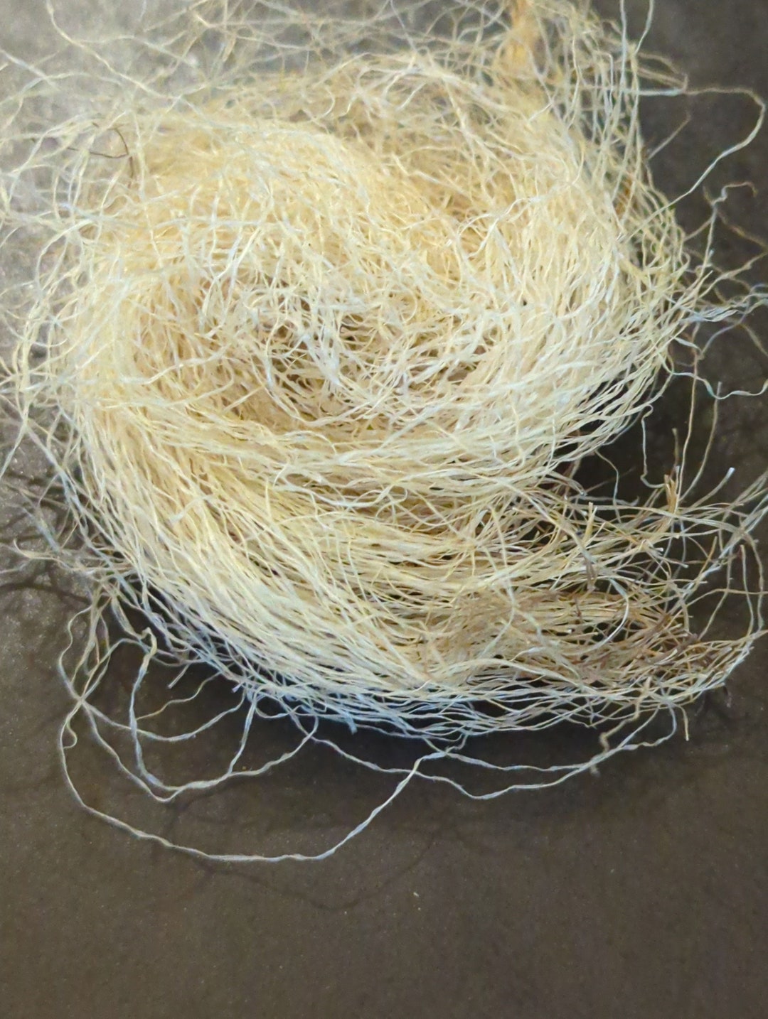 Dried Corn Silk 1g, for Prosperity, Fertility, Growth, Protection ...