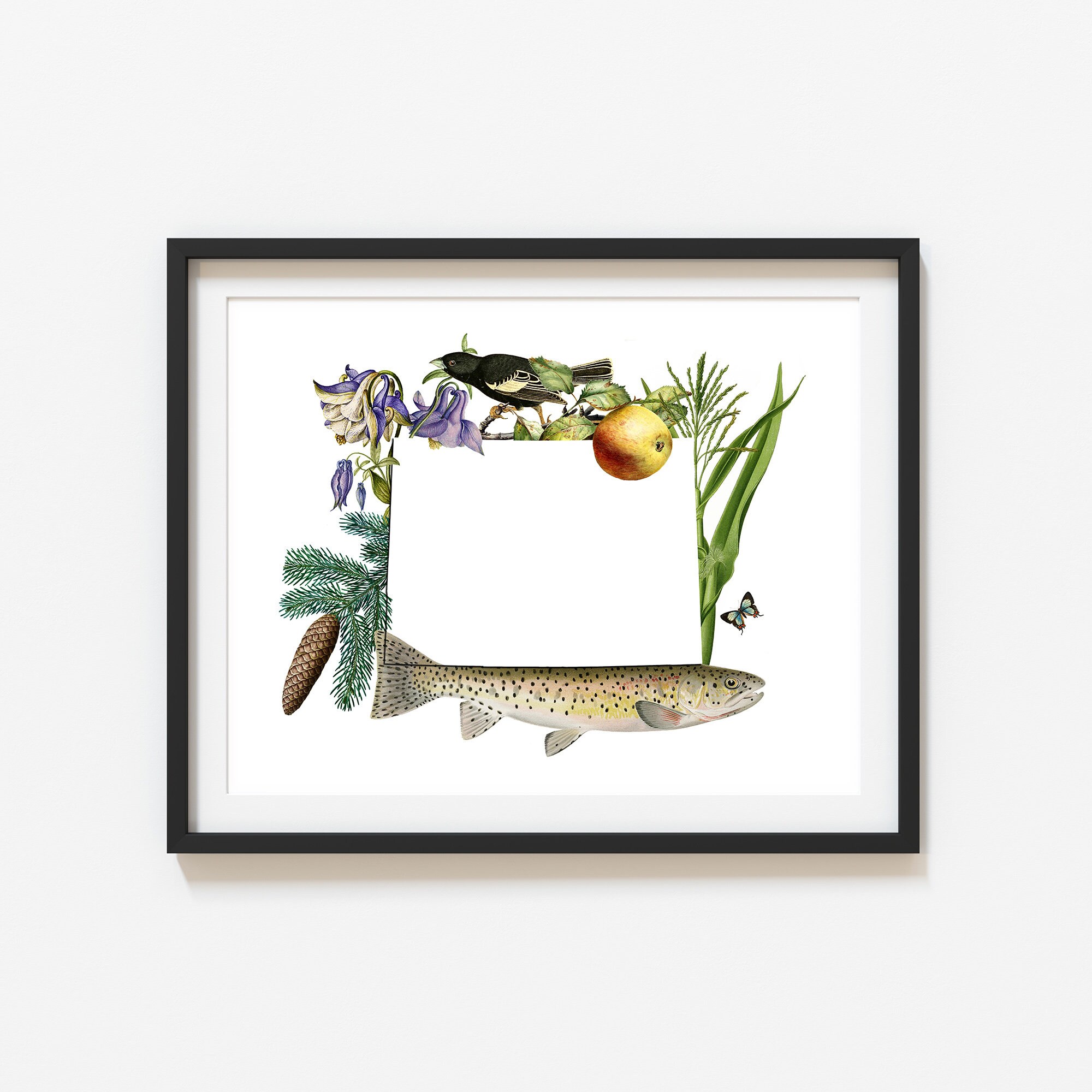 Colorado State Fine Art Print Colorado State Symbols CO | Etsy