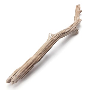21.5" Gorgeous, Curvy Driftwood Branch - Etsy