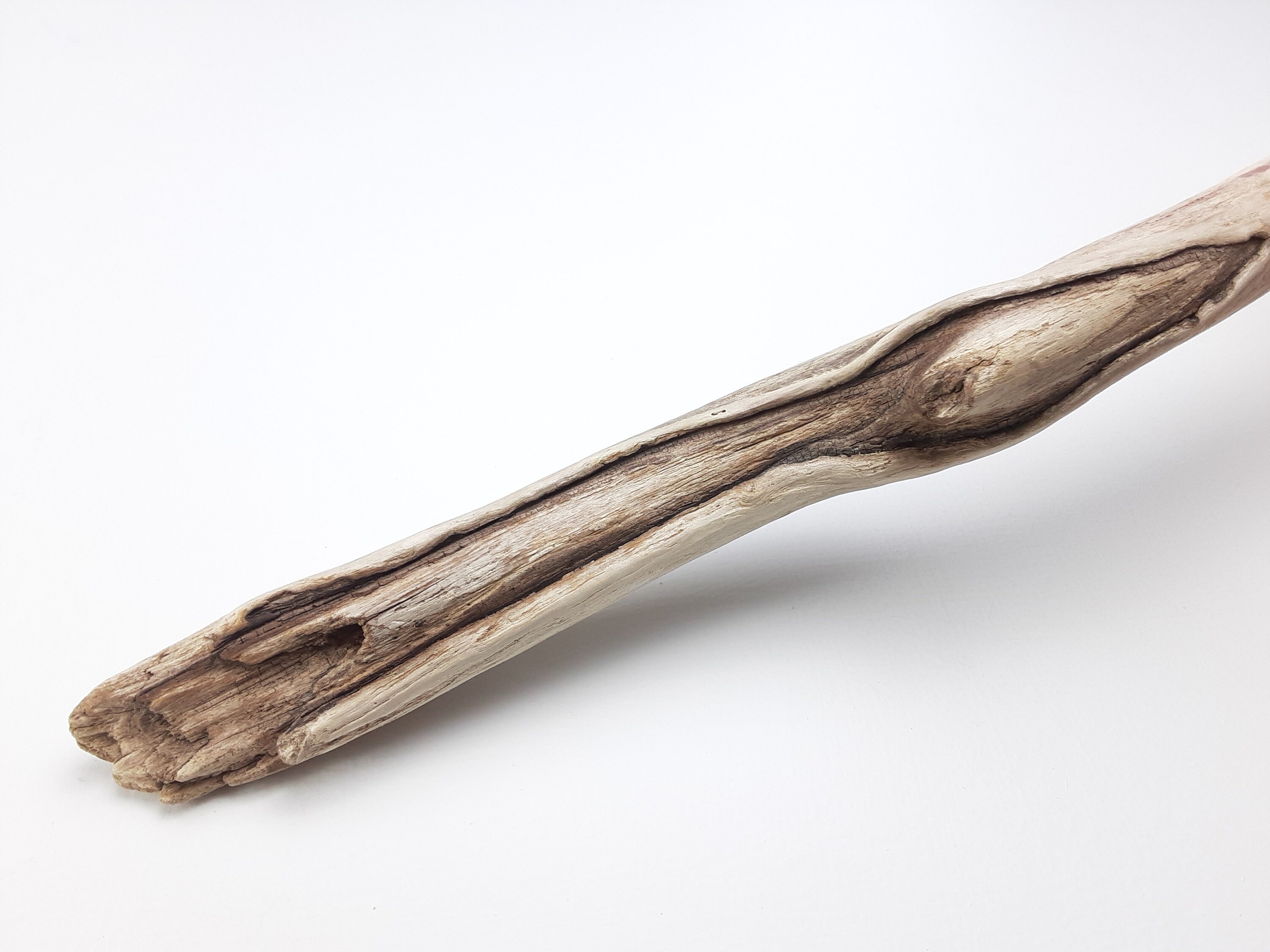 Slightly Curved Driftwood Branch 24 Long Smooth Home Improvement Wood ...