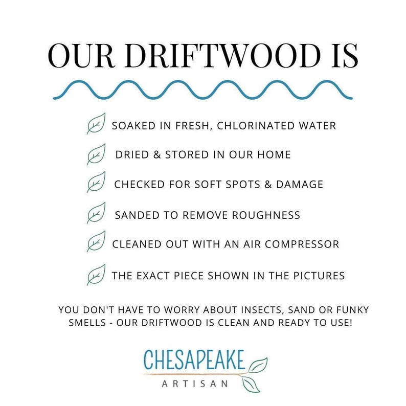 68" XL Knotty Driftwood Plank With Choppy End | Large Driftwood Shelf ...