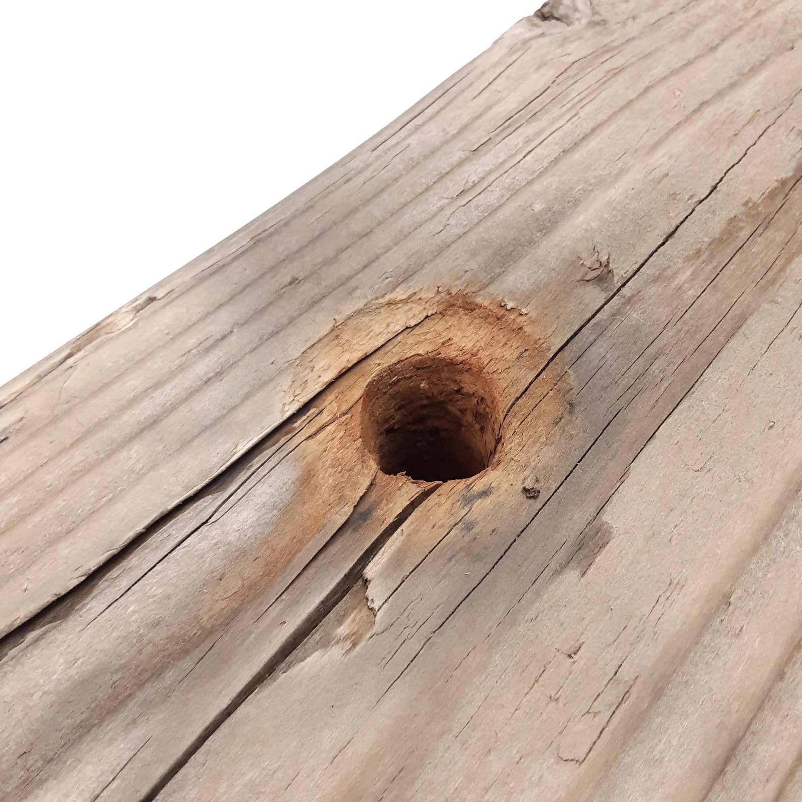 68" XL Knotty Driftwood Plank With Choppy End | Large Driftwood Shelf ...
