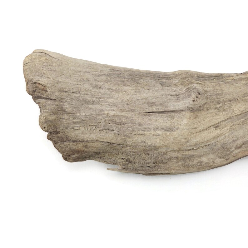 41" Large, Curvy Driftwood Slab | Unique Coastal Accent | Decorative ...
