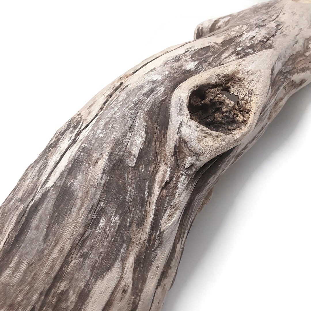 41 Very Thick, Gnarly Driftwood Branch - Etsy
