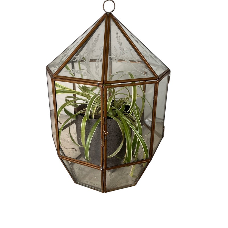 Geometric Terrarium - Etsy
