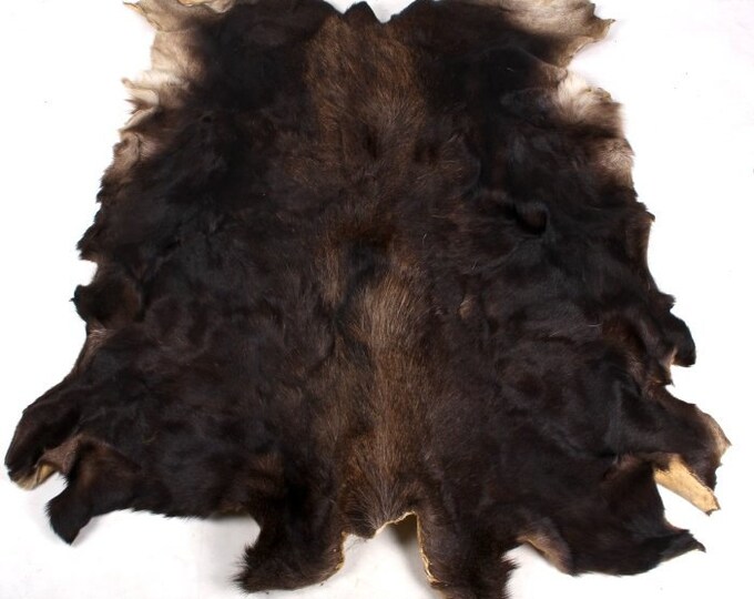 Large Vintage Montana Moose Hide - Etsy