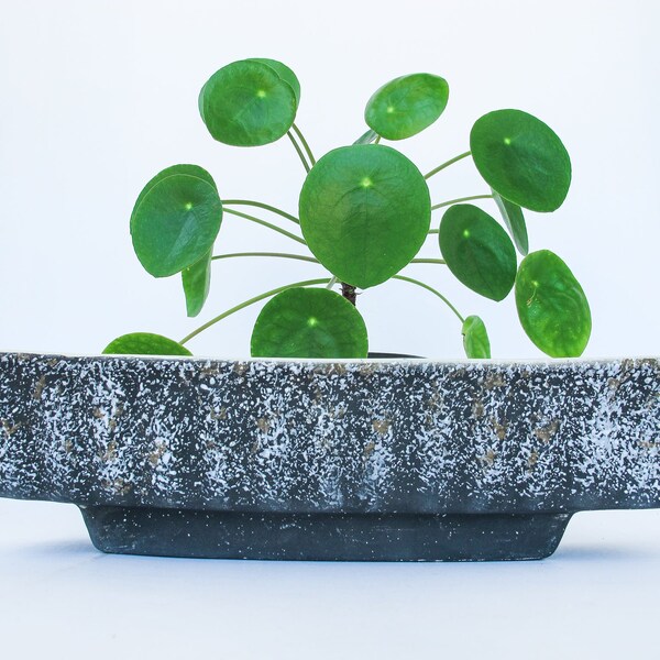 Lane and Co Van Nuys - Etsy