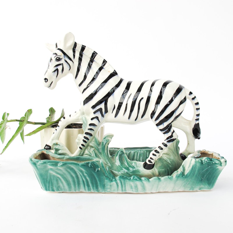 Zebra Vases - Etsy