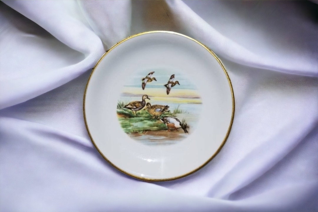Vintage Zeh Scherzer Bavarian China Plate, Ducks Design, 1950s German ...