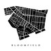 Bloomfield Map - Pittsburgh Neighborhood Art Print - Etsy