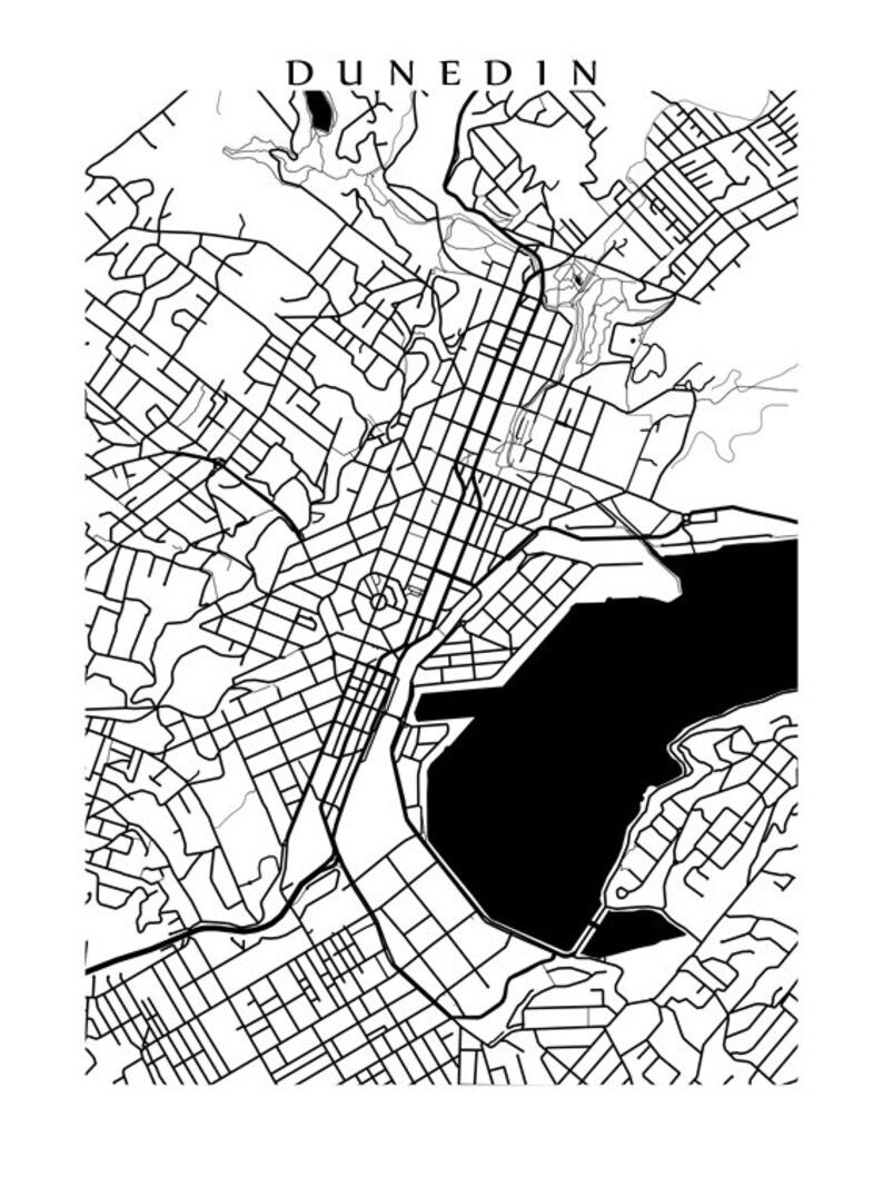 Dunedin Map New Zealand Art Poster Print - Etsy