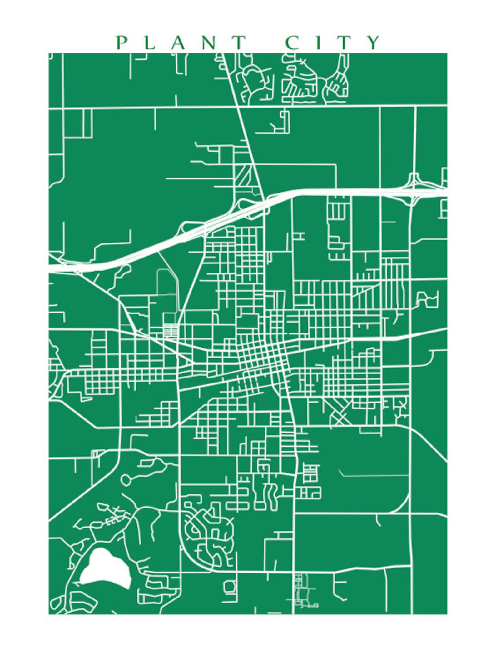 Plant City Map Print - Florida Poster - Etsy