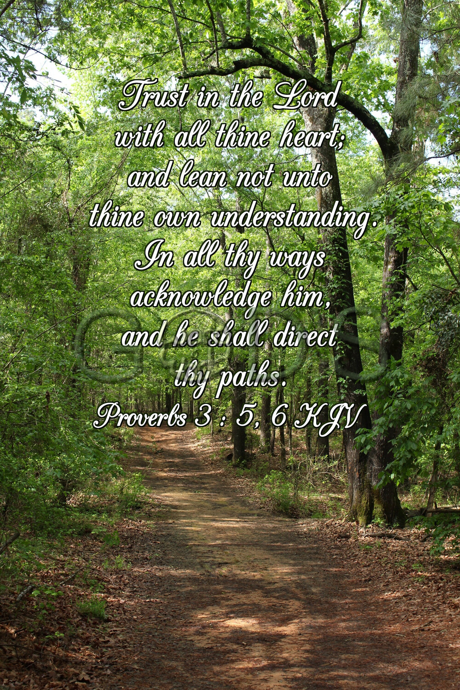Proverbs 3 5 6 KJV Scripture Picture Malden Lake Trees Etsy
