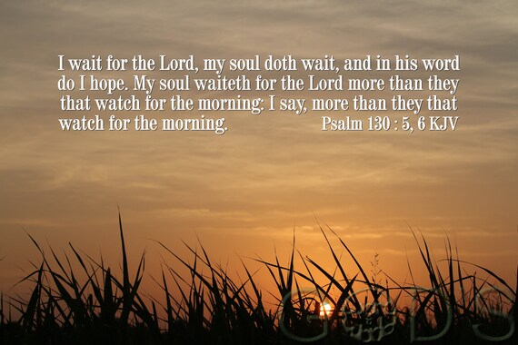 Psalm 1 6 Kjv