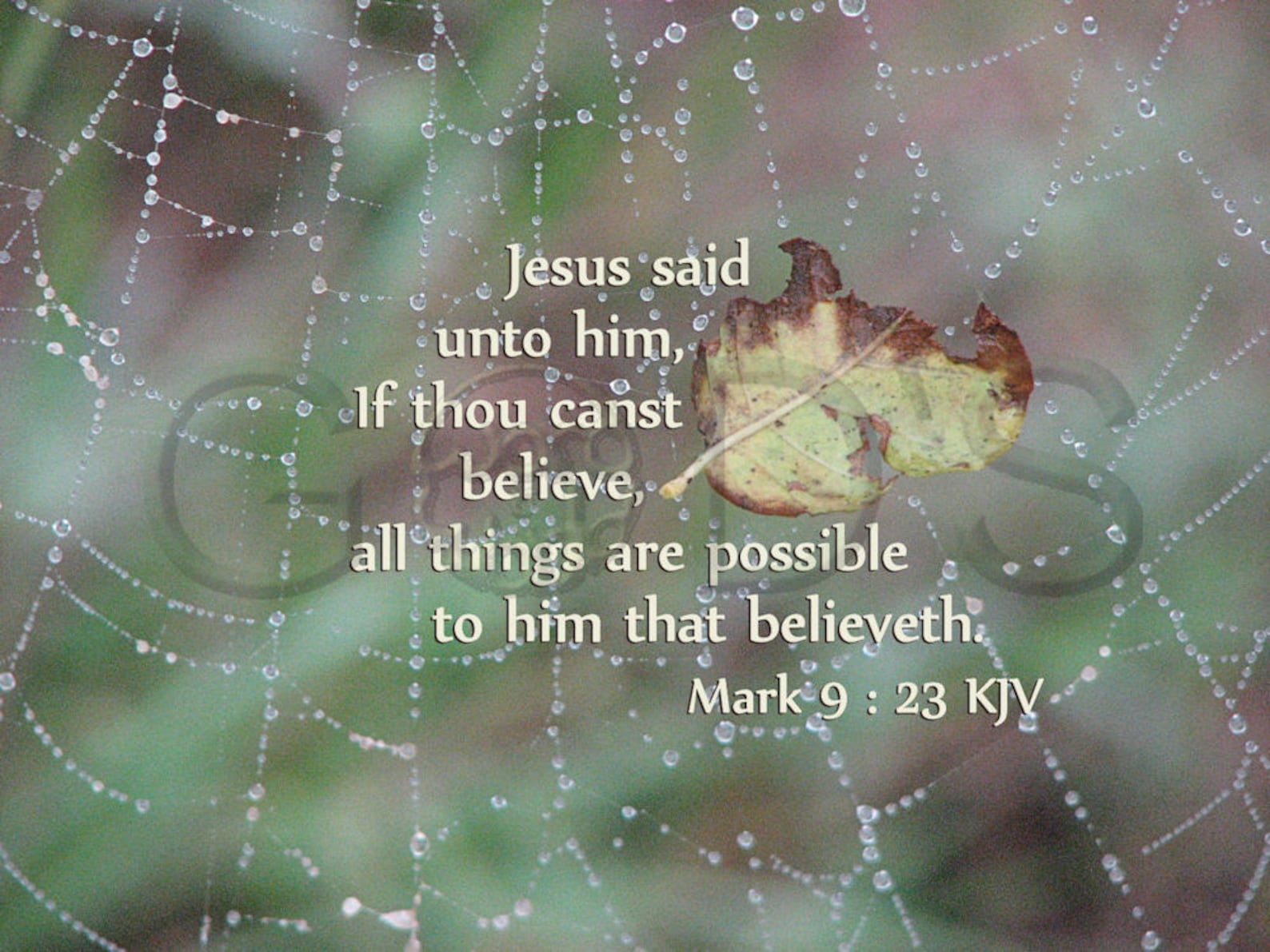 Mark 9:23, KJV, Scripture Picture, Spider Web, Belief in God ...