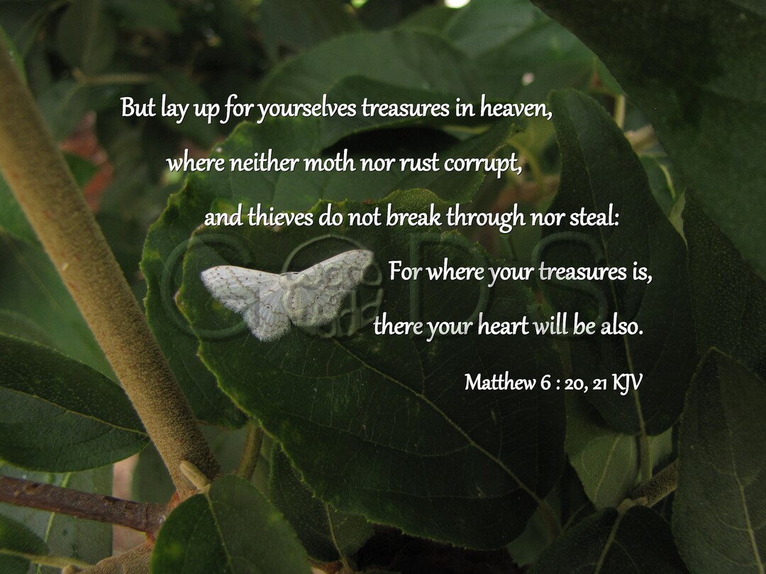 Matthew 6 20 21 KJV Scripture Picture Treasures In Heaven Your