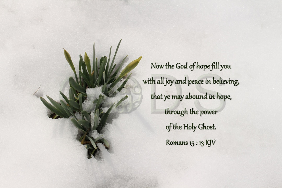 Romans 15:13, KJV, Scripture Photo, Daffodils, Snow Scene, God of Hope ...