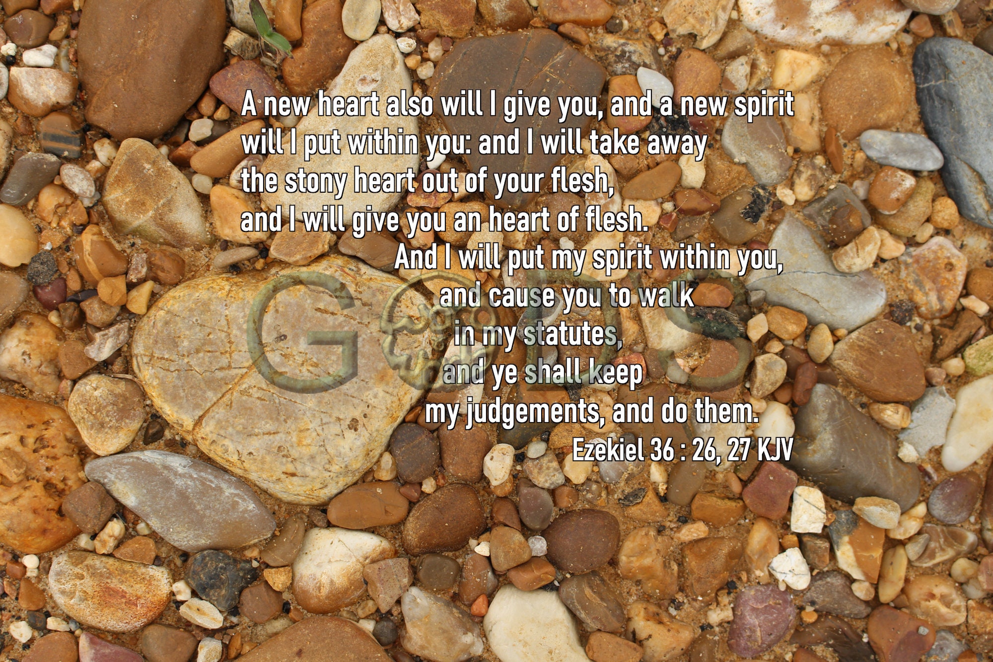 Ezekiel 36:26, 27, KJV, Scripture Picture, Stony Heart, Heart of Flesh ...