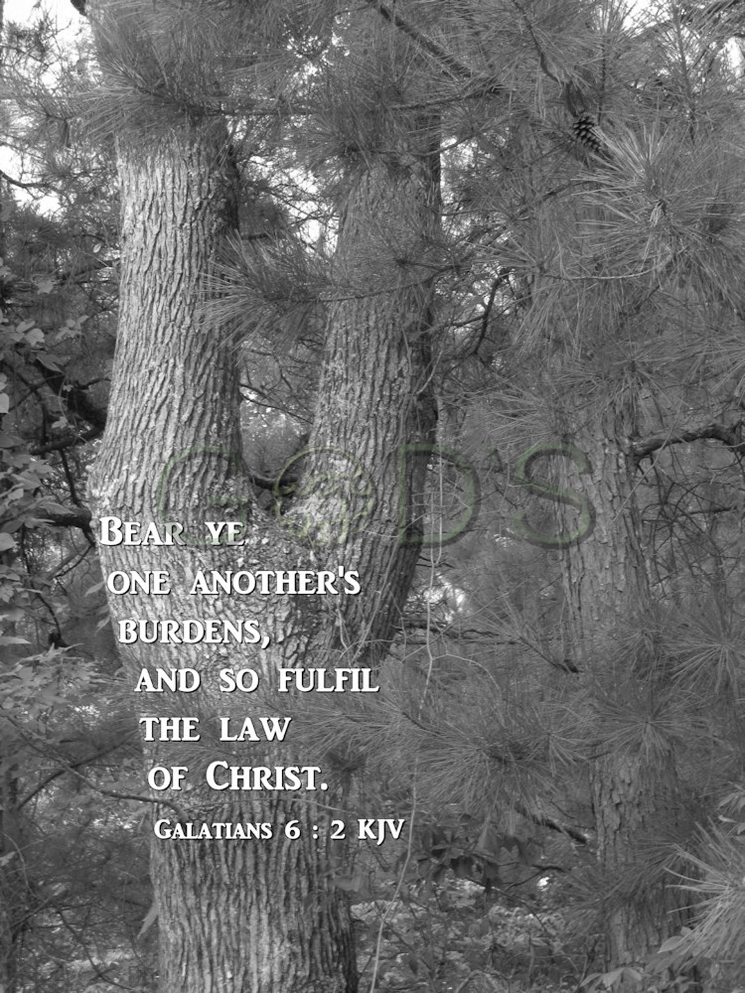 Galatians 6:2 KJV, Scripture Picture, Scripture Photo, Nature ...