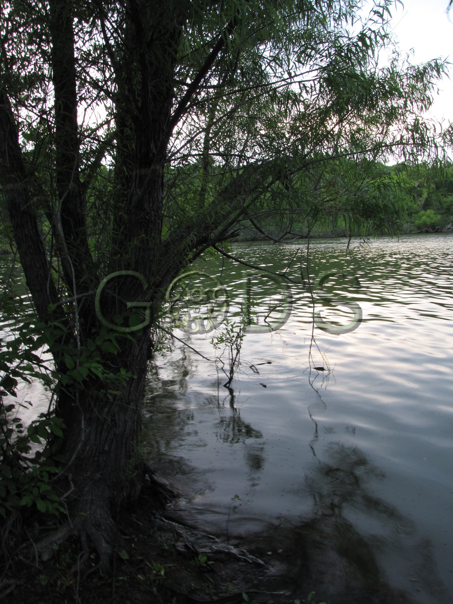 Proverbs 3:5 6 KJV Scripture Picture Malden Lake Trees - Etsy