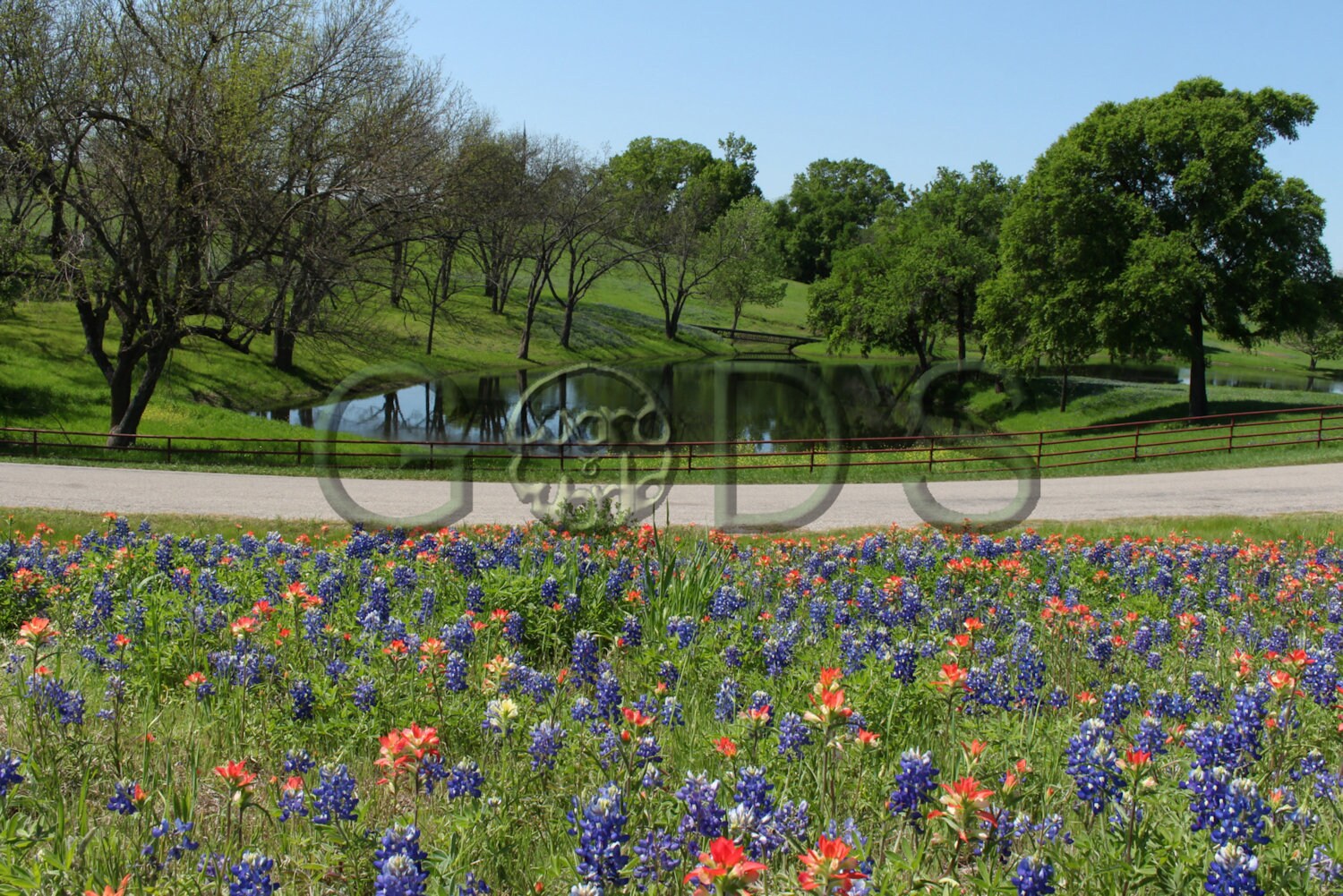 Psalm 23 KJV Scripture Picture Bluebonnets Indian Etsy Psalm 23 KJV Scripture Picture Bluebonnets Indian Etsy
