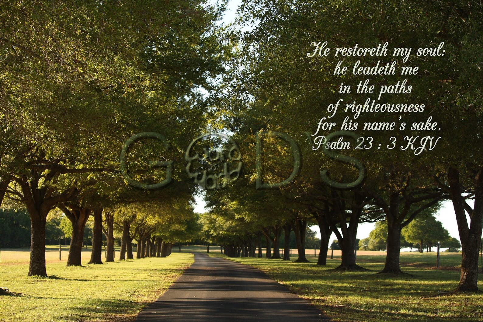 Psalm 23:3 KJV, Scripture Photo, Texas, Truth, Path, Trees, Countryside ...