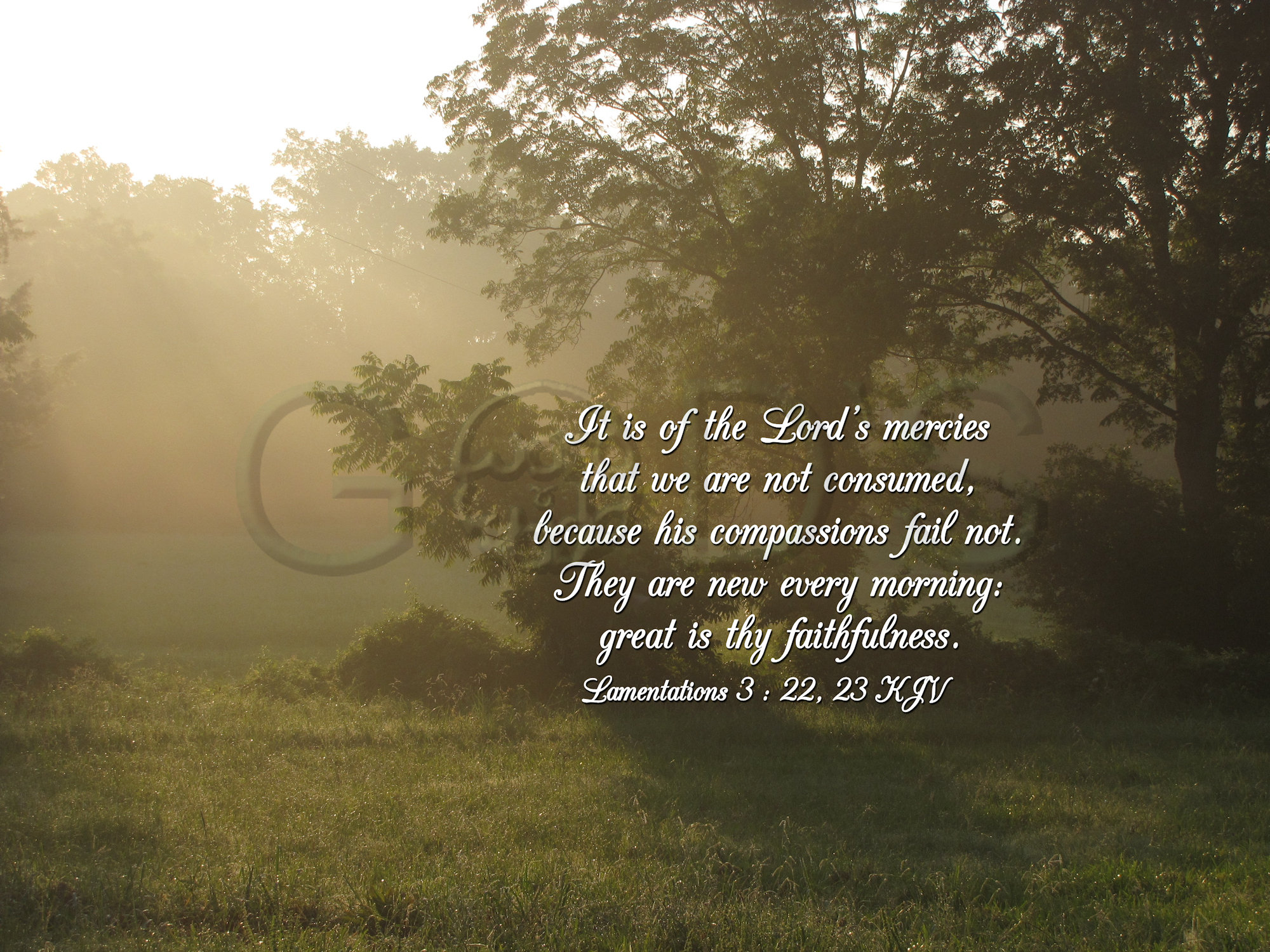 The Lord S Mercies Are Renewed Every Morning