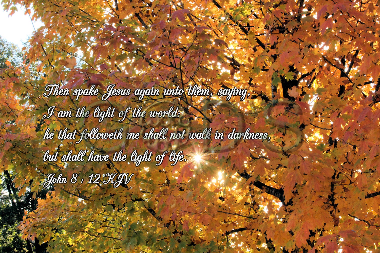 John 8:12 KJV Scripture Picture Autumn Scene Sunburst | Etsy