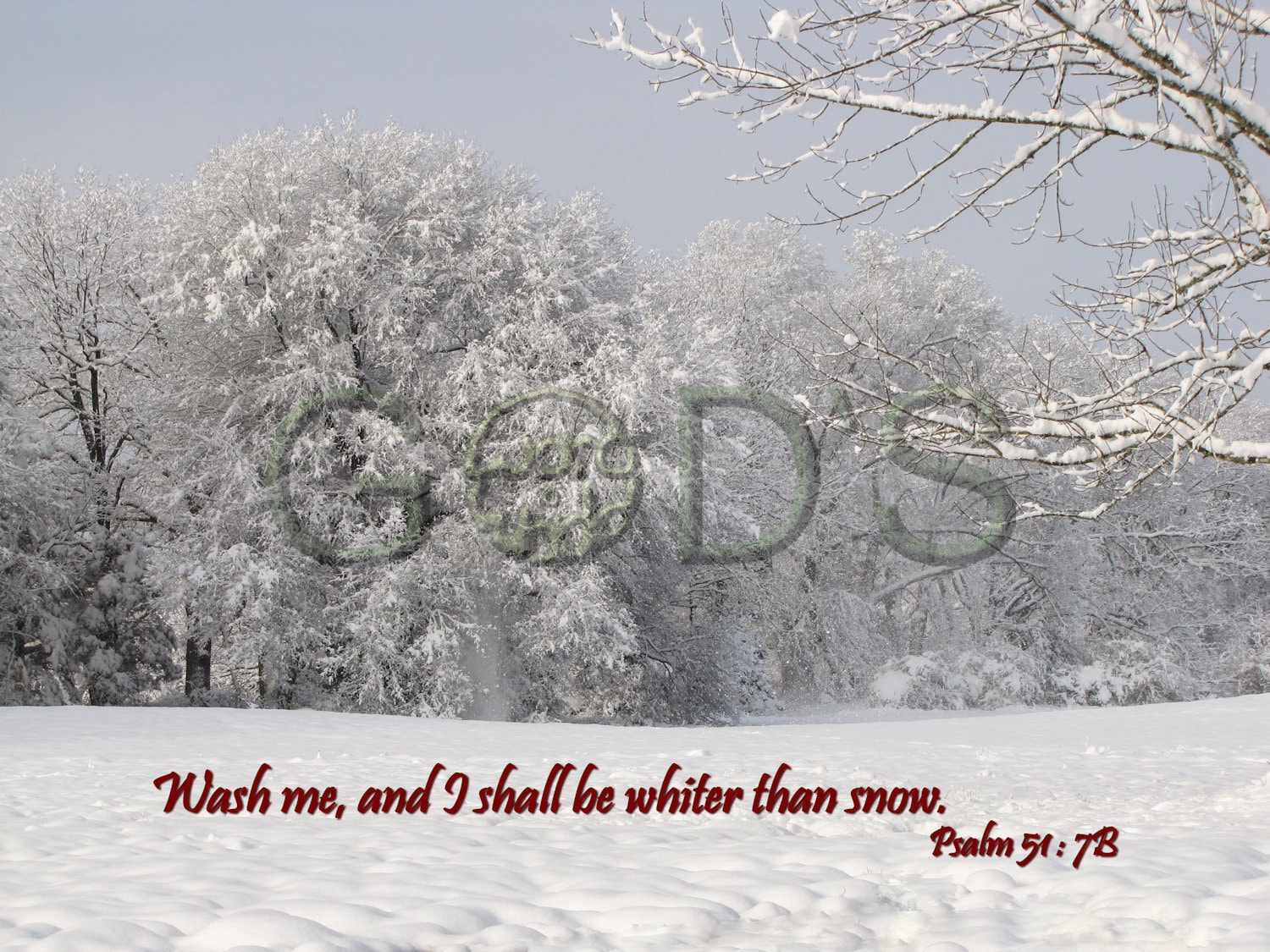 Psalm 51:7B, Scripture Picture, KJV, Snow Scene, White as Snow ...