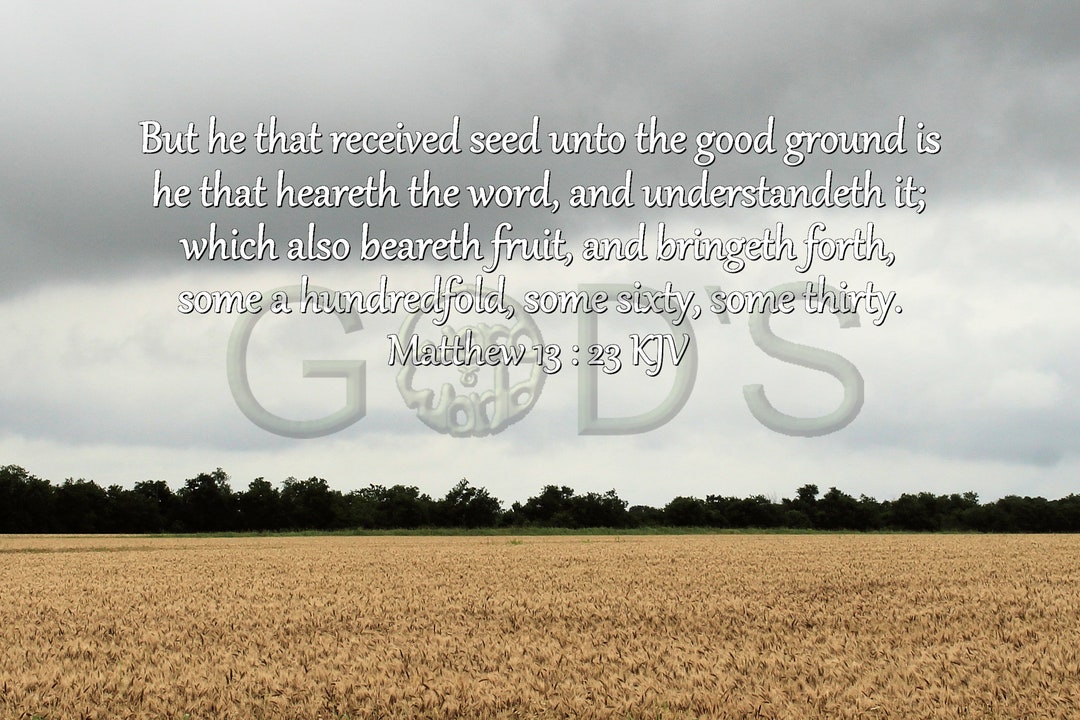 Matthew 13:23, KJV, Scripture Picture, Grain Field, South Central Texas ...