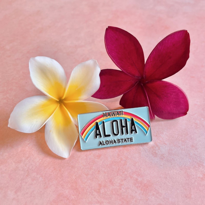 Hawaii Pin - Etsy