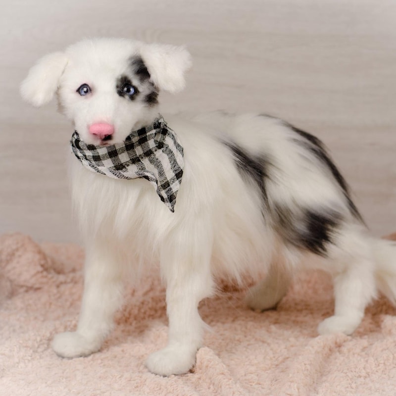 Douglas Border Collie - Etsy