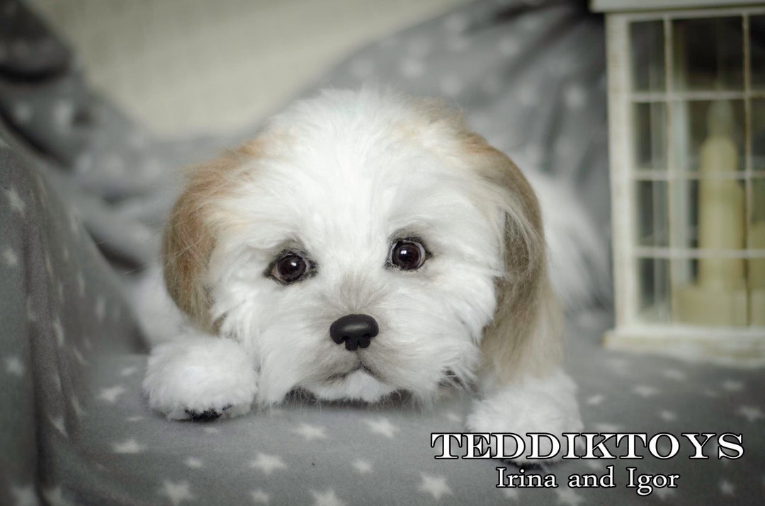 Realistic Shih Tzu Puppy: Handmade Collectible Plush Dog (made to Order ...