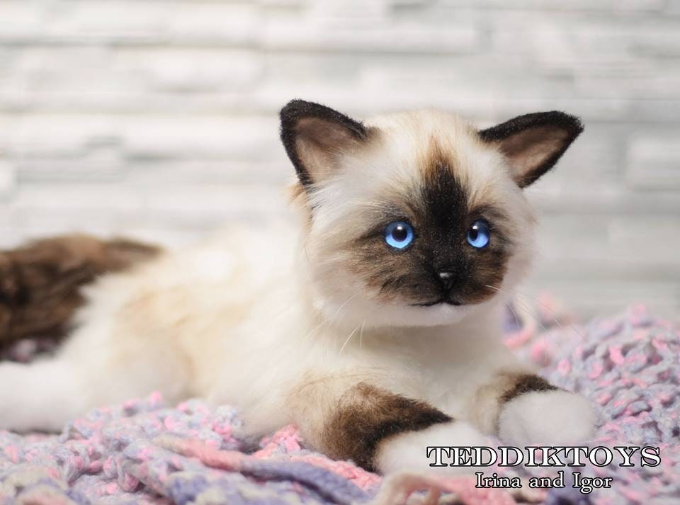Custom. Realistic Toy Cat. Collectible Animal. | Etsy UK