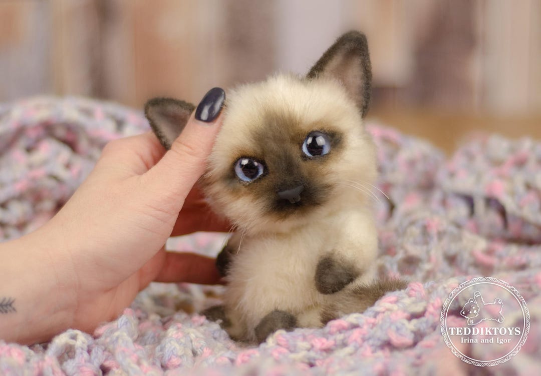 Handmade Realistic Kitten – 15 Cm, Custom Color Available - Etsy