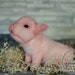 Handmade Pig Toy Pig Custom Order - Etsy