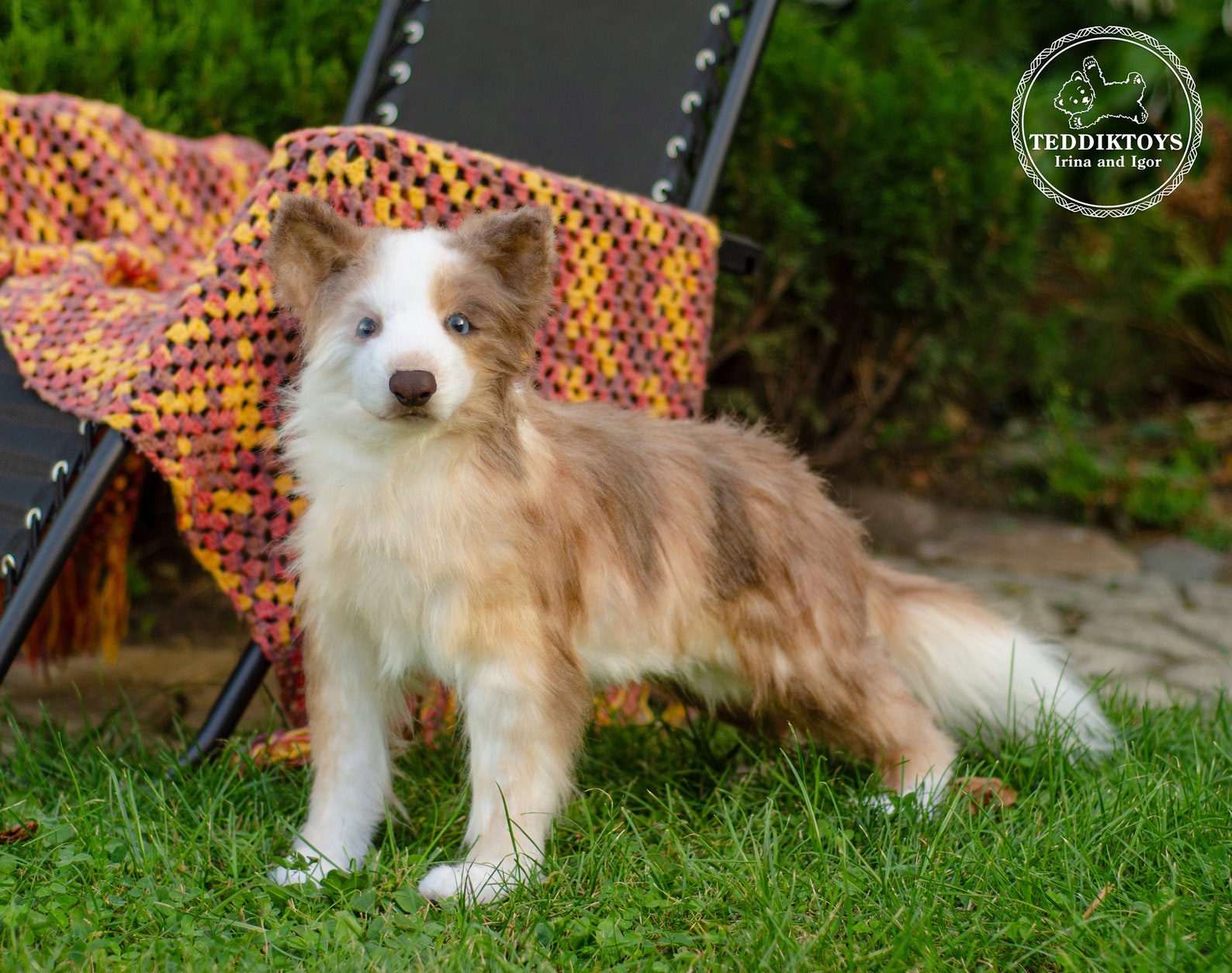 Handmade Realistic Border Collie Puppy Plush: Poseable Pet Portrait - Etsy
