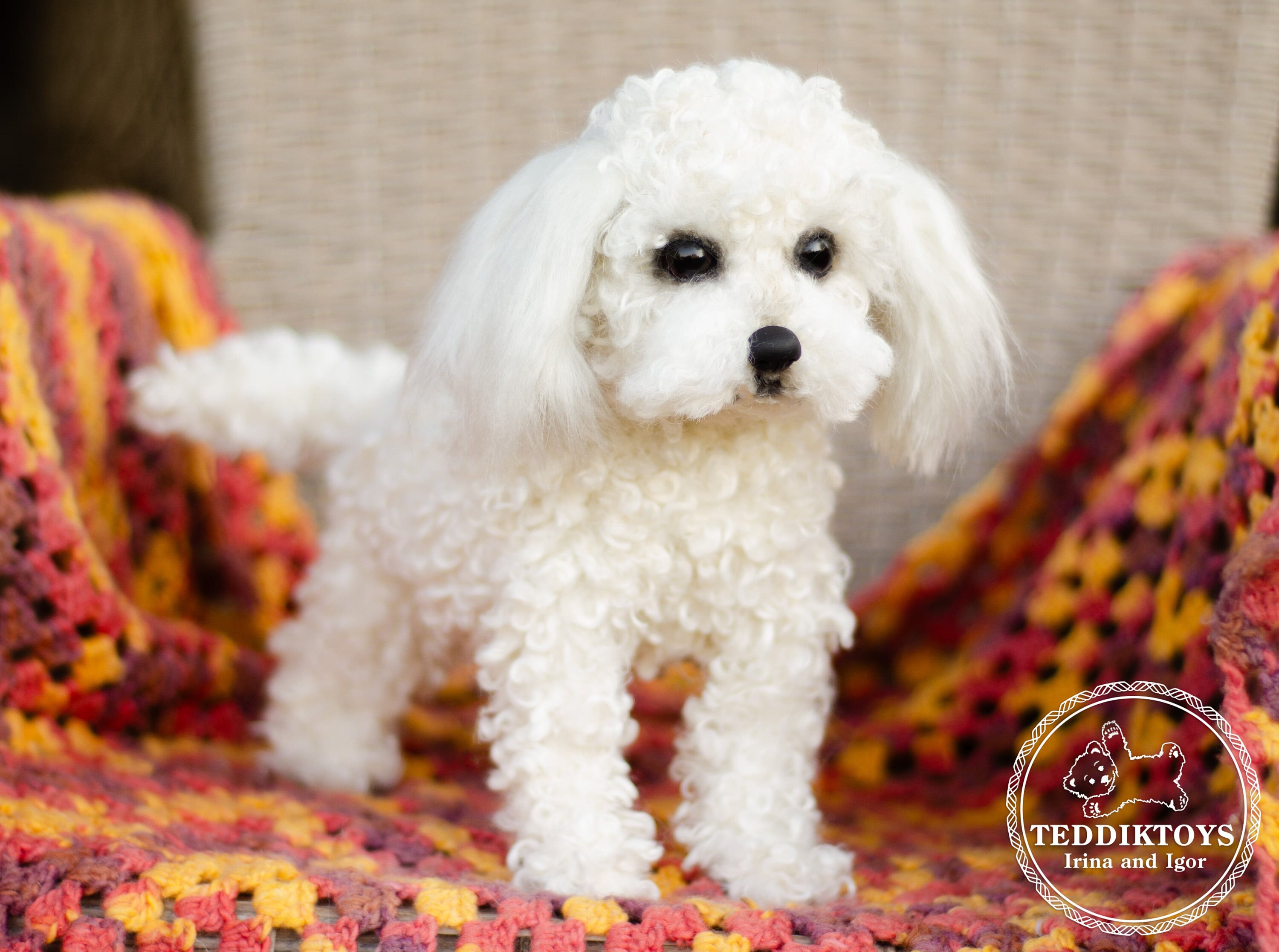 Handmade Realistic Poodle Puppy Plush: Custom Dog Portrait Soft ...