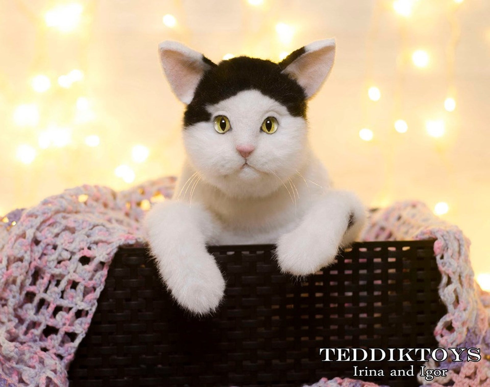 Individual Order According to Customers Photo Cat | Etsy