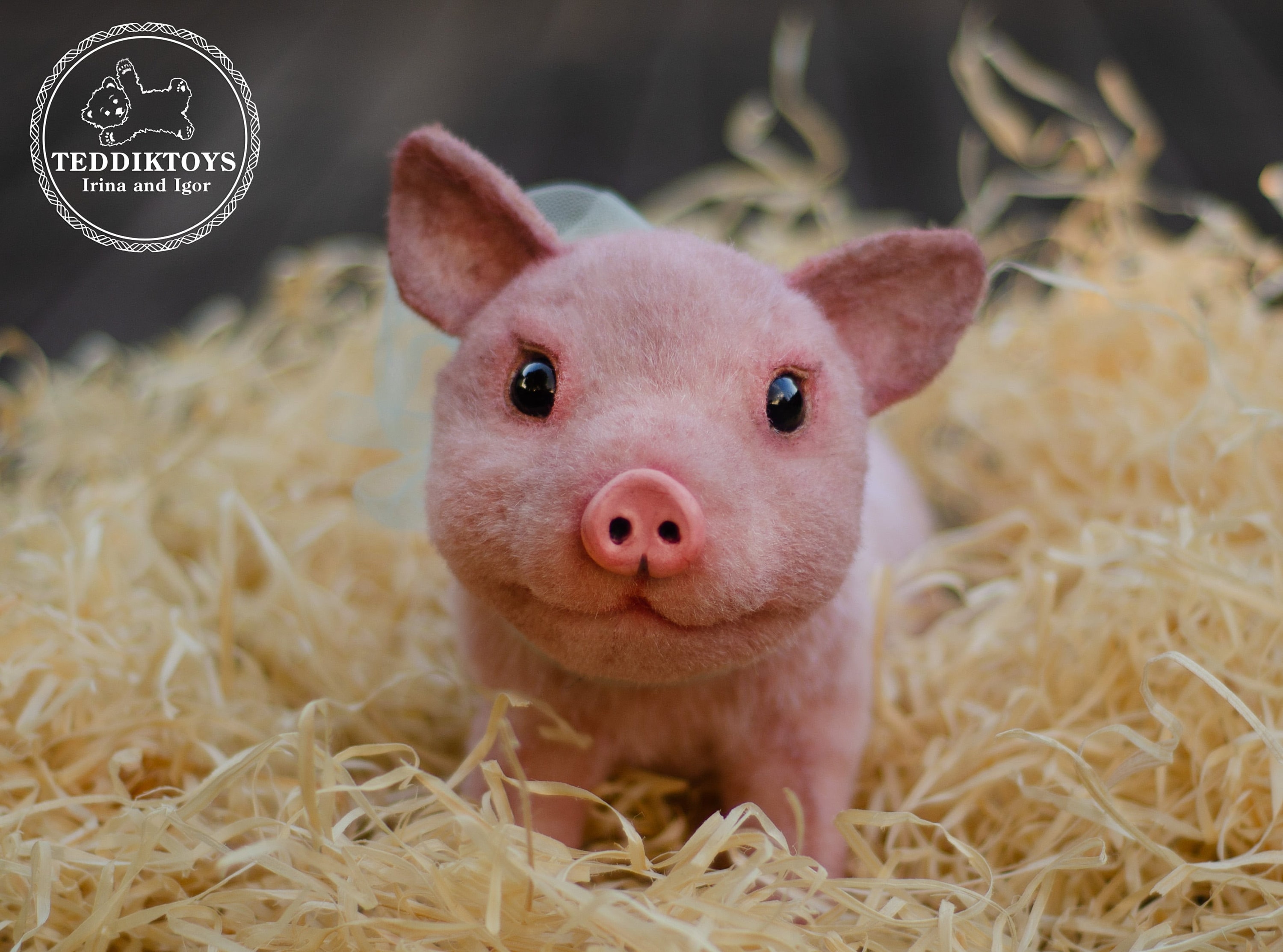 Handmade Pig, Toy Pig, Custom Order. - Etsy