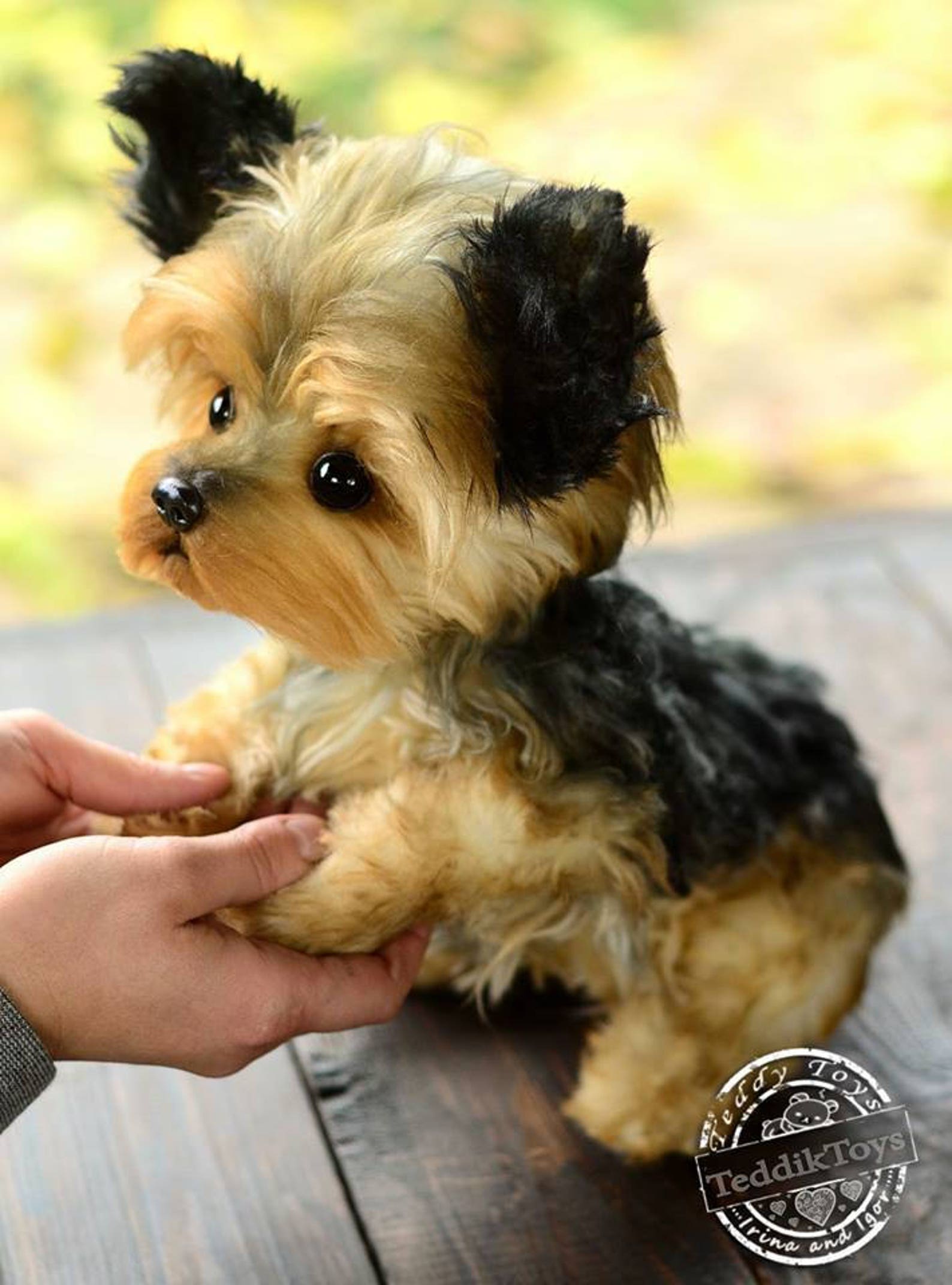 Puppy York Jemmy (make to Order) Portrait Pet , Handmade Animal by ...