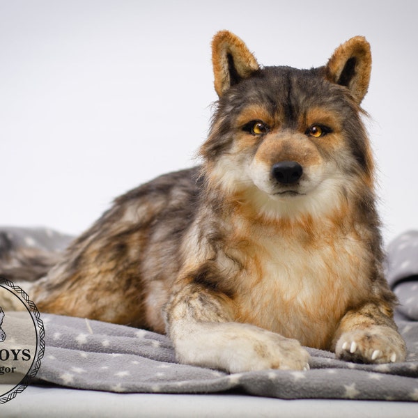 Realistic Wolf Plush - Etsy