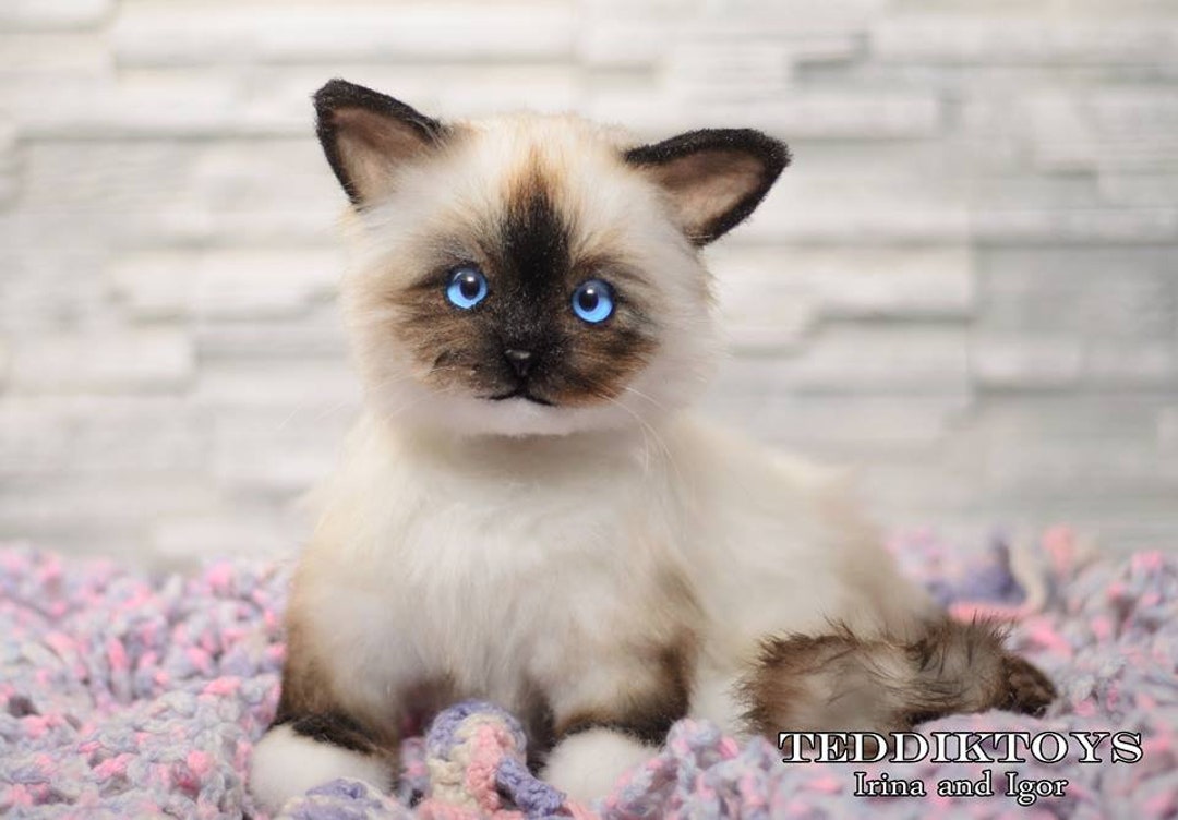Custom. Realistic Toy Cat. Collectible Animal. - Etsy